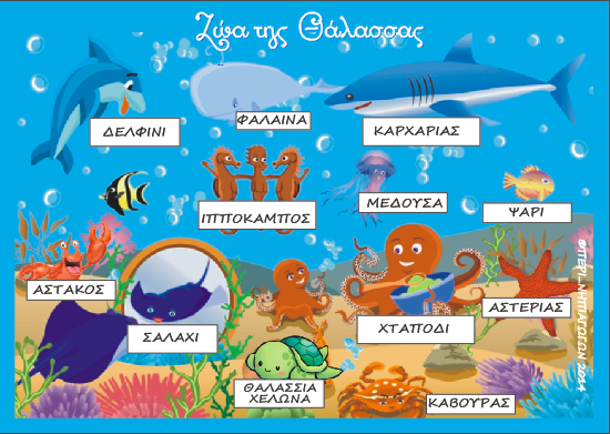 Γνωρίζοντας τα ζώα της θάλασσας | Πλατφόρμα «Αίσωπος» - Ψηφιακά ...